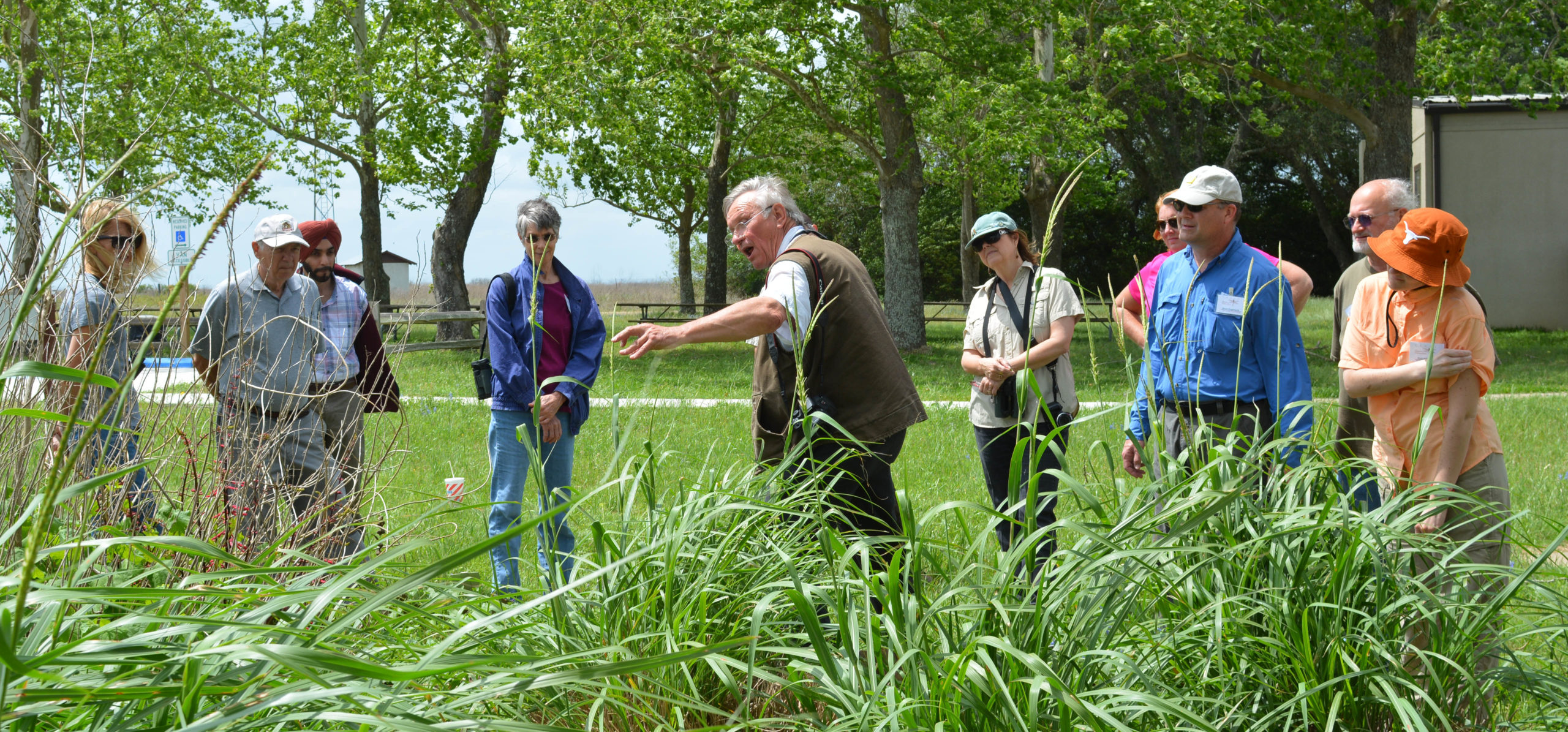 Nature Reflections - Texas Master Naturalist Program