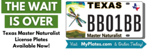 Texas Master Naturalist Specialty License Plate - Texas Master ...