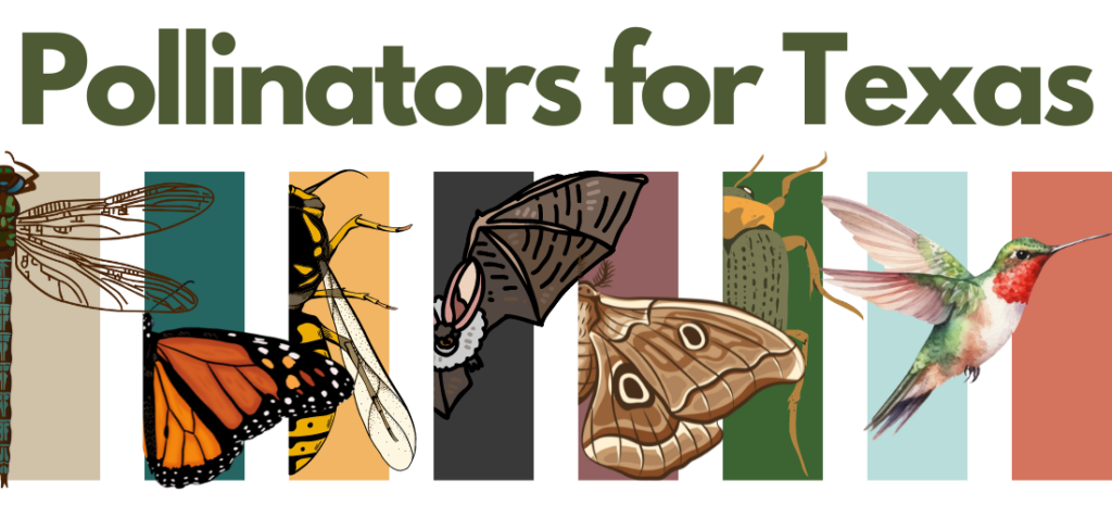 Pollinators for Texas Project - Texas Master Naturalist Program