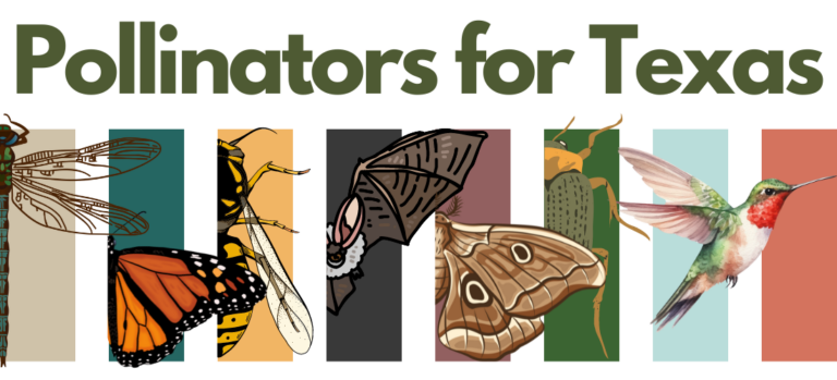 Pollinators for Texas Project - Texas Master Naturalist Program