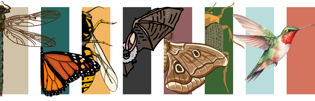 2025 Pollinators for Texas Awarded Projects - Texas Master Naturalist Program